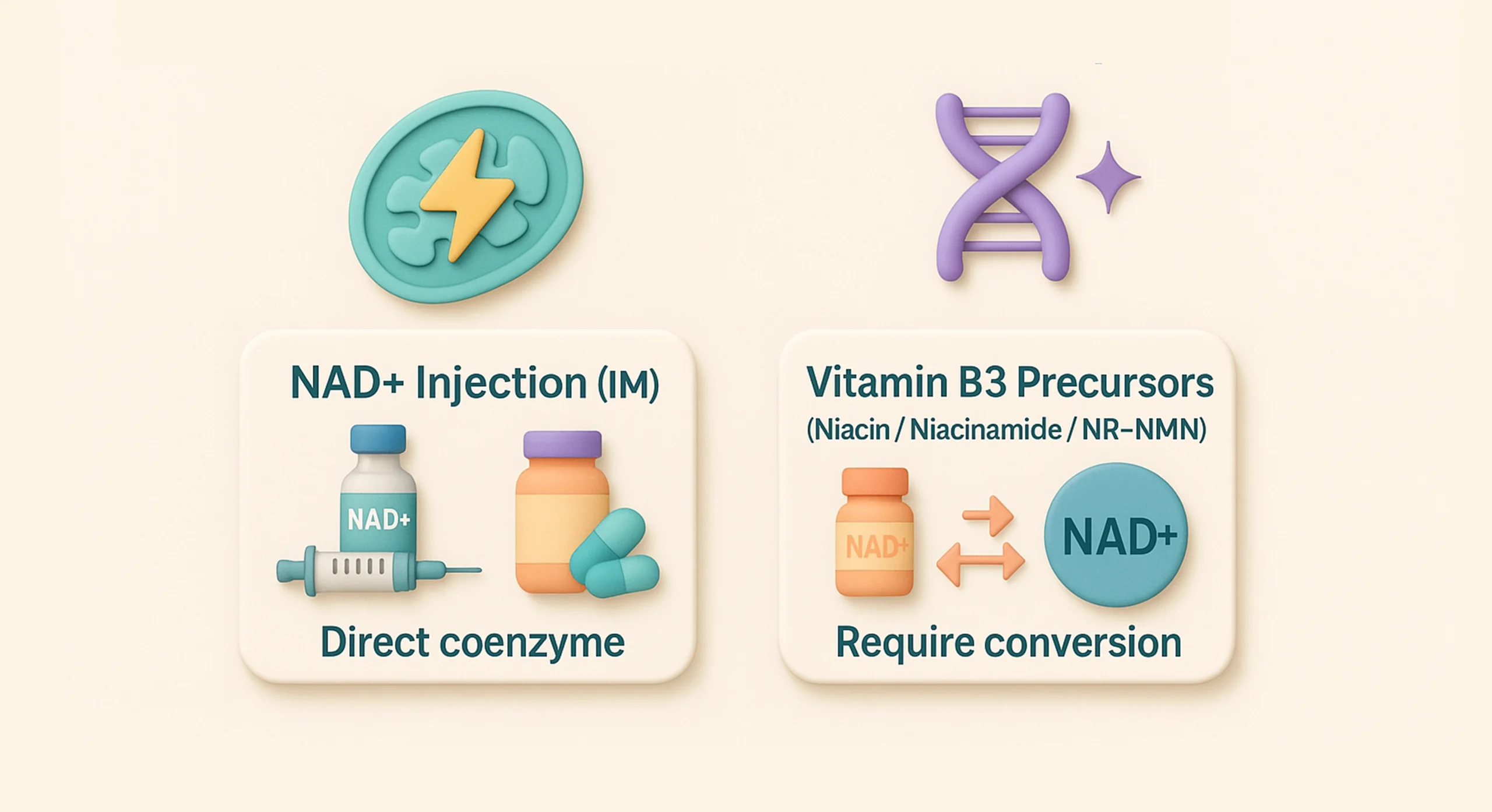 Your Guide to NAD Injection: Navigating the B3 Maze | Perfect B
